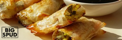 baked spring rolls - BigSpud
